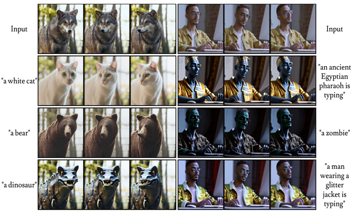 RAVE: Randomized Noise Shuffling for Fast and Consistent Video Editing ...